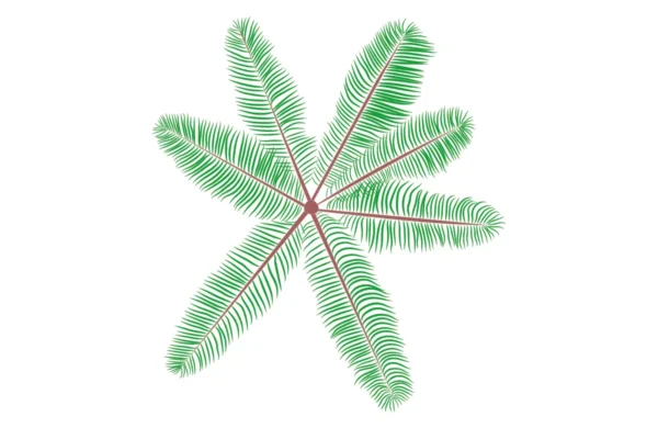 Cocos Nucifera Tree Top View CAD Block (DWG SVG PDF) files | AppisCAD